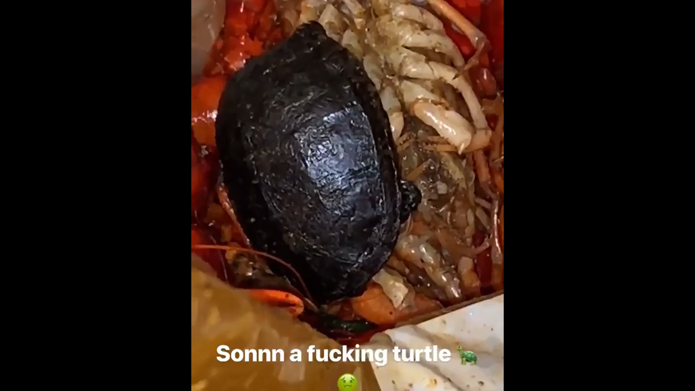 Woman Found A Boiled Turtle In Her Bag Of Crawfish | The Heat Magazine
